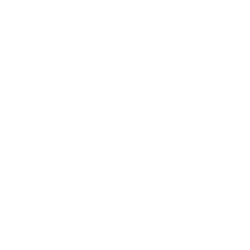 About | AGI Systems
